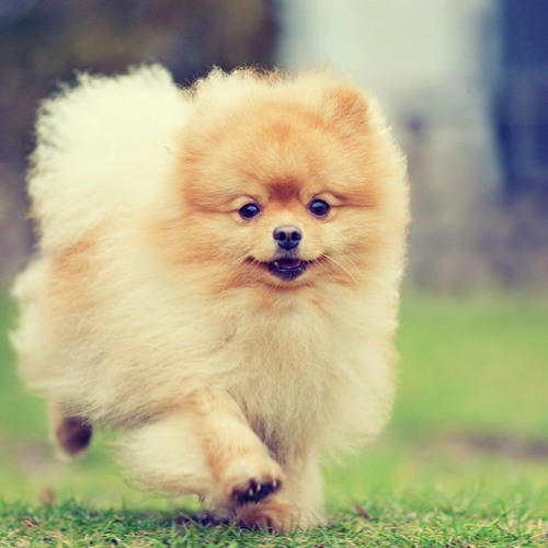 Stream user473810447 | Listen to sanson ko jeena ka playlist online for ...