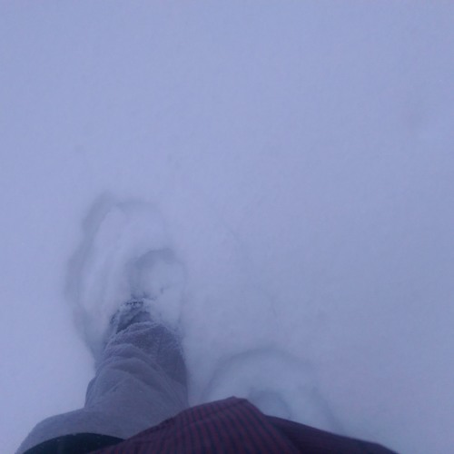 Stream ALEX GI music | Listen to songs, albums, playlists for free on ...