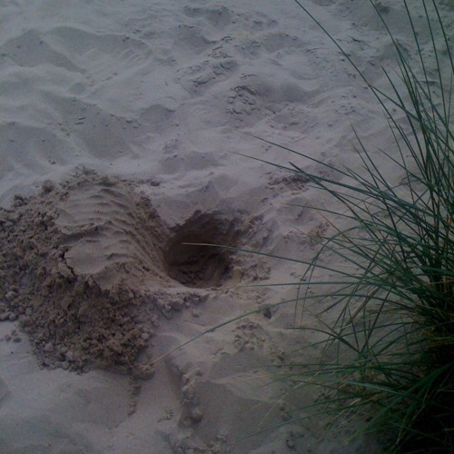 Stream Patrick Ace music | Listen to songs, albums, playlists for free ...