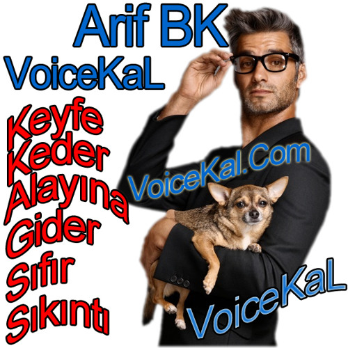 Stream SesliKal music | Listen to songs, albums, playlists for free on ...