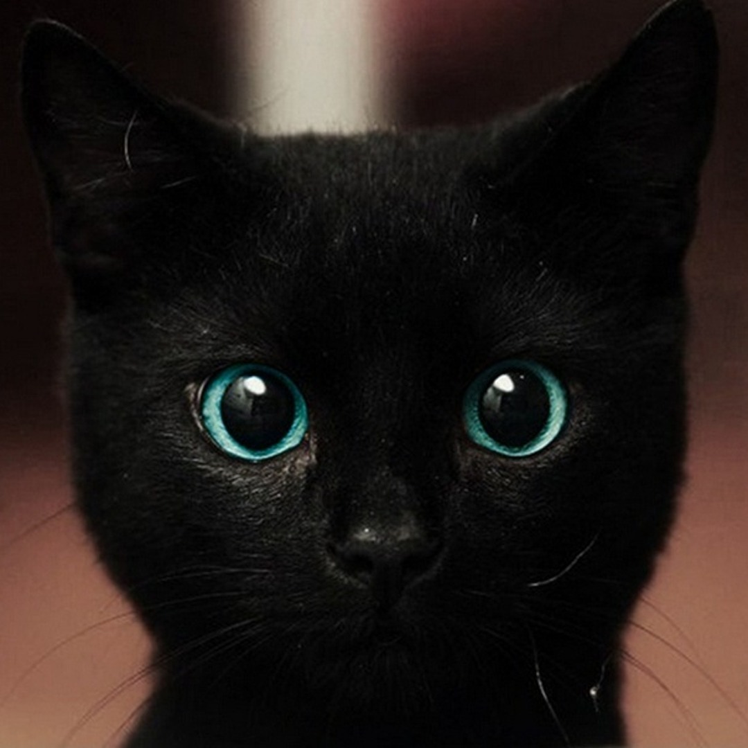 Stream Ertyui music | Listen to songs, albums, playlists for free on ...