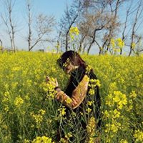 Stream 02 Chehra Kya Dekhte Ho MyMp3Singer mp3 By Dua Khan stream-02-chehra-kya-dekhte-ho-mymp3singer-mp3-by-dua-khan