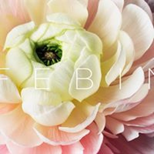 Stream Febin Karma music | Listen to songs, albums, playlists for free ...