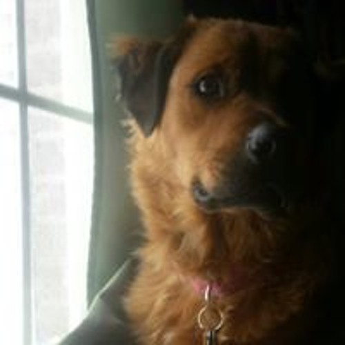 Stream Christine music | Listen to songs, albums, playlists for free on ...