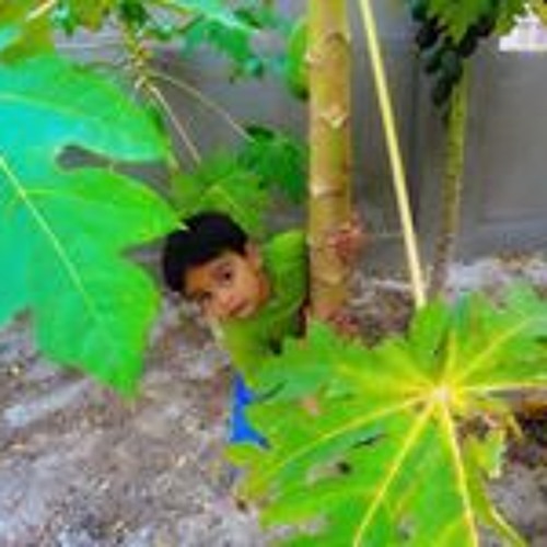 Stream Saba Raza music | Listen to songs, albums, playlists for free on ...