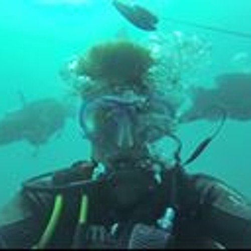 Stream Charlie Poppy music | Listen to songs, albums, playlists for ...