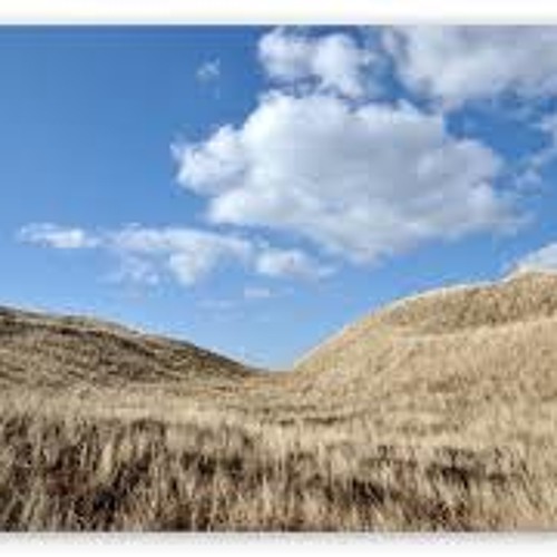 Stream Jaden Charles music | Listen to songs, albums, playlists for ...