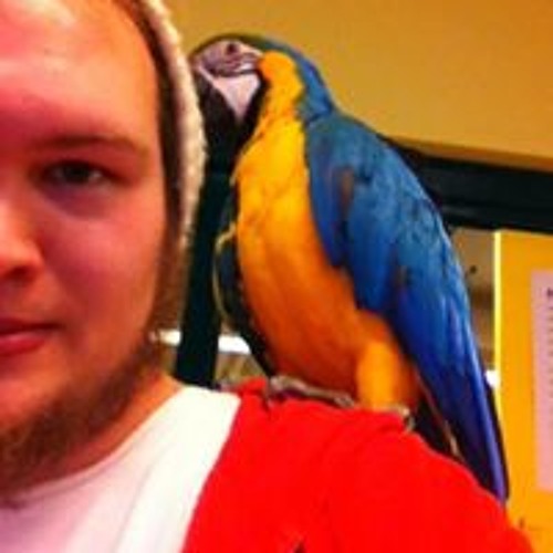 Stream Jan Thomas Eriksen music | Listen to songs, albums, playlists ...