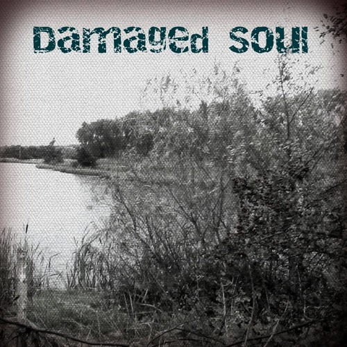 Stream Damaged Soul music | Listen to songs, albums, playlists for free ...
