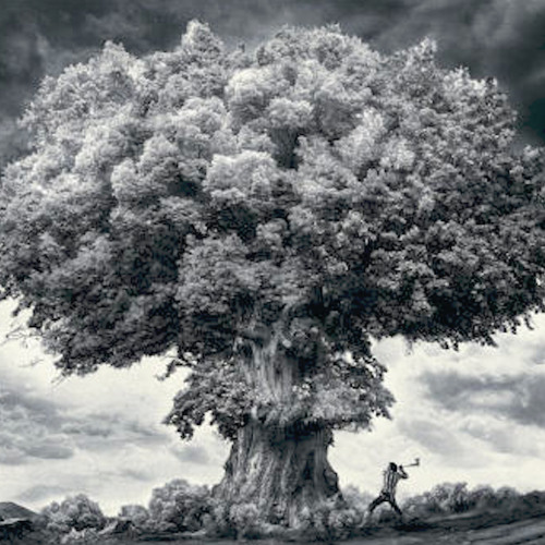 Stream Ten Ton Trees music | Listen to songs, albums, playlists for ...