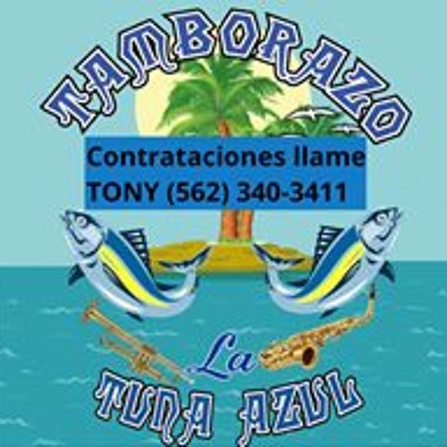 Stream Tamborazo La Tuna Azul music | Listen to songs, albums ...