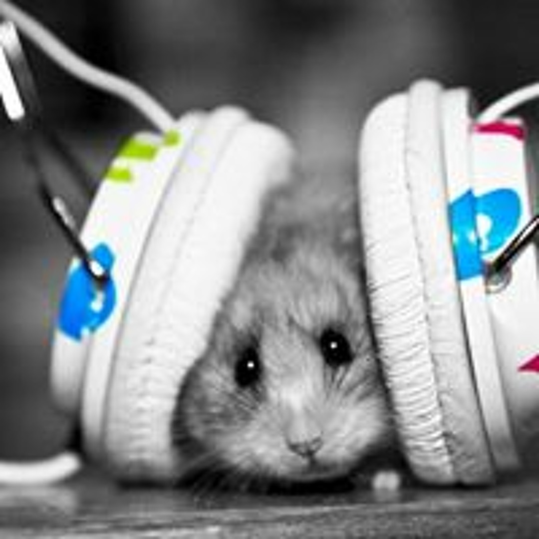 Stream شوق قلبي كبير by Khaled Ashry | Listen online for free on SoundCloud