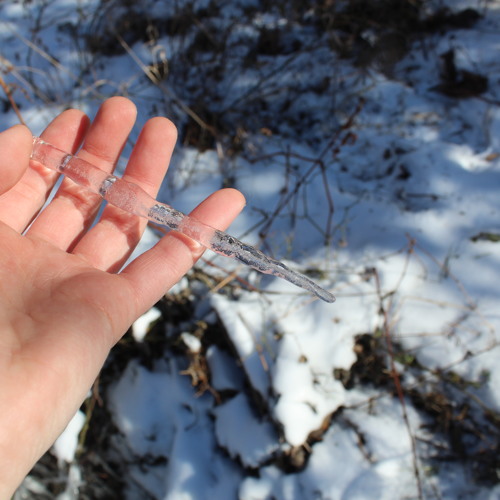 Stream dana fowler music | Listen to songs, albums, playlists for free ...