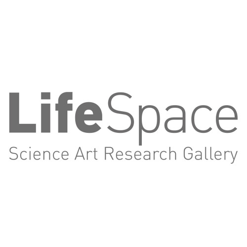 Stream LifeSpace Dundee music | Listen to songs, albums, playlists for ...