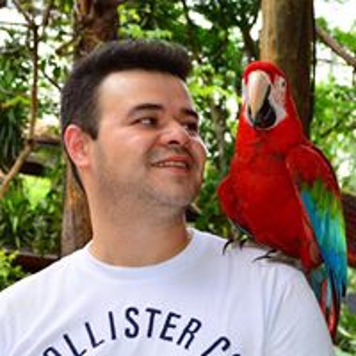 Stream Chef Roger Ichinose | Listen to Charlie Brown Jr / O Rappa ...