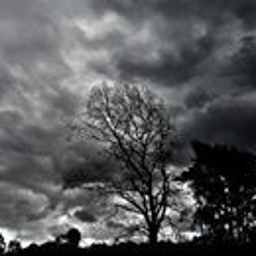 Stream Jasper Lin music | Listen to songs, albums, playlists for free ...