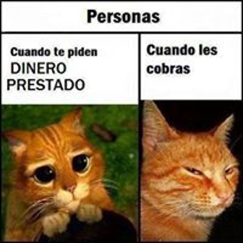 Stream Nicolas Rojas Rivera music | Listen to songs, albums, playlists ...