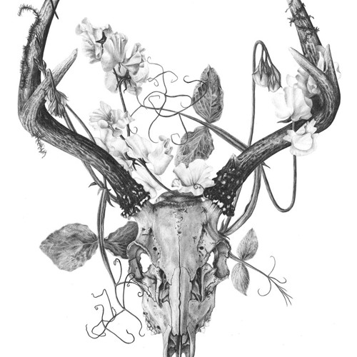 Stream Emily Cutting music | Listen to songs, albums, playlists for ...