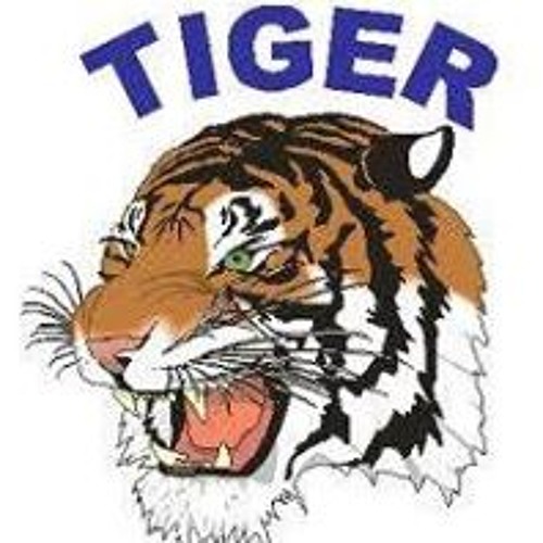 Stream Omar Tiger music | Listen to songs, albums, playlists for free ...