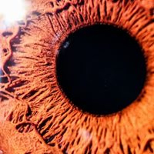 Stream Diptarka Das music | Listen to songs, albums, playlists for free ...