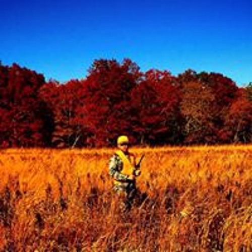 Stream Kevin Tyler music | Listen to songs, albums, playlists for free ...