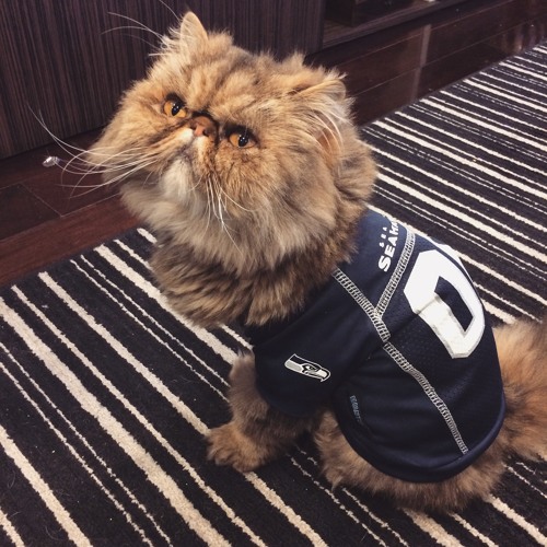 Stream Casey Johansen music | Listen to songs, albums, playlists for ...