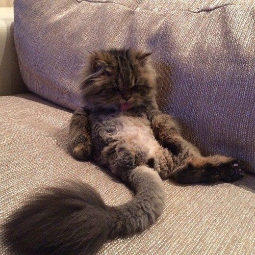 Stream jasper.reed music | Listen to songs, albums, playlists for free ...