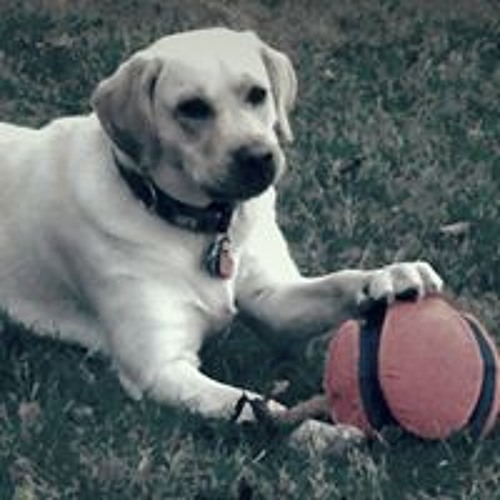 Stream Debra Najecki music | Listen to songs, albums, playlists for ...