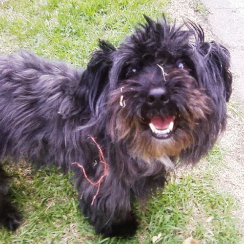 Stream Aaron Rees music | Listen to songs, albums, playlists for free ...