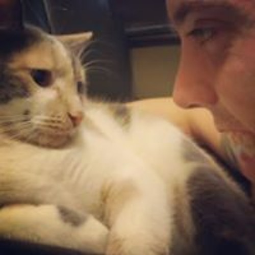 Stream Sam Abbott music | Listen to songs, albums, playlists for free ...