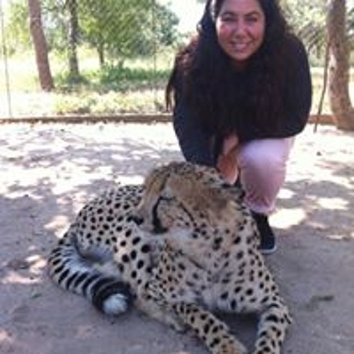 Stream Reem Shaath music | Listen to songs, albums, playlists for free ...