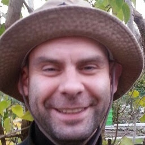 Stream Maciej Marcinkowski music | Listen to songs, albums, playlists ...