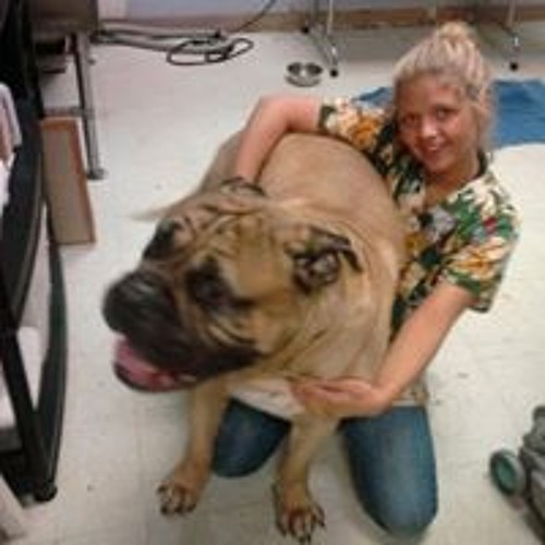 Stream Robin Jester music | Listen to songs, albums, playlists for free ...