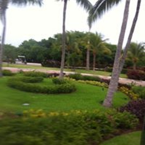 Stream Kade Wortmann music | Listen to songs, albums, playlists for ...