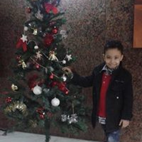 Stream Sally Taha music | Listen to songs, albums, playlists for free ...