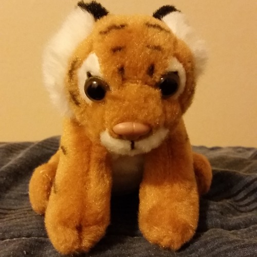 Stream Brian MacInnes music | Listen to songs, albums, playlists for ...