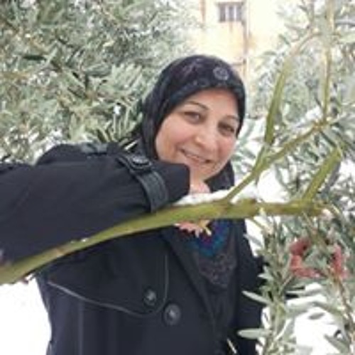 Stream Um Ali Dirani music | Listen to songs, albums, playlists for ...