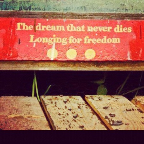 Stream earth___ling music | Listen to songs, albums, playlists for free ...