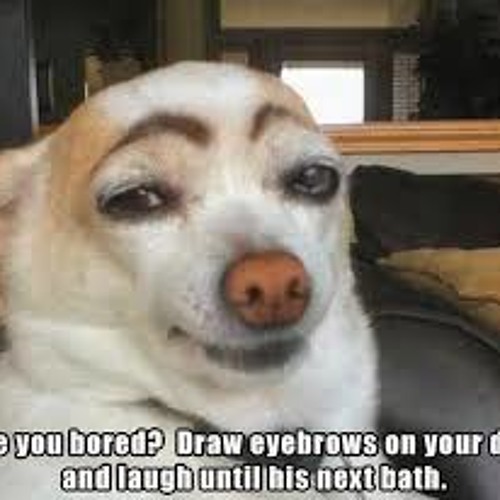 Stream Will Meldrum music | Listen to songs, albums, playlists for free ...