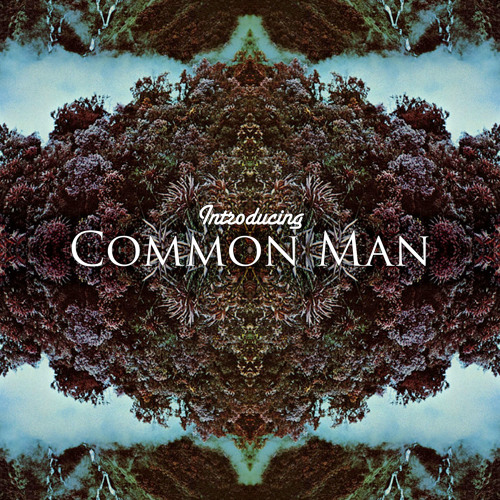 Stream Common Man music | Listen to songs, albums, playlists for free ...
