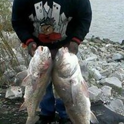 Stream Oscar N. Jones music | Listen to songs, albums, playlists for ...