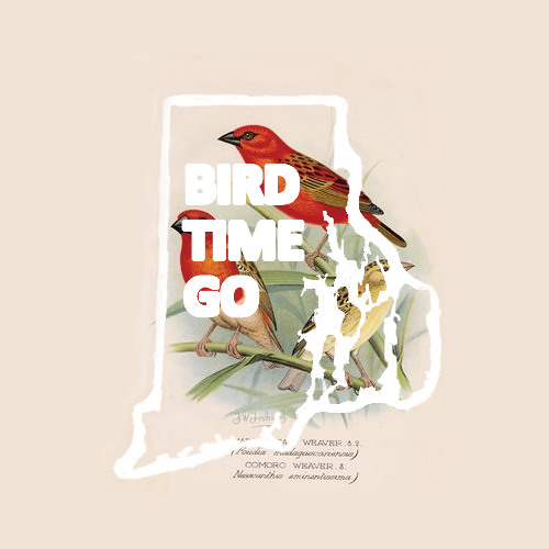 Stream Bird_Time_Go music | Listen to songs, albums, playlists for free ...