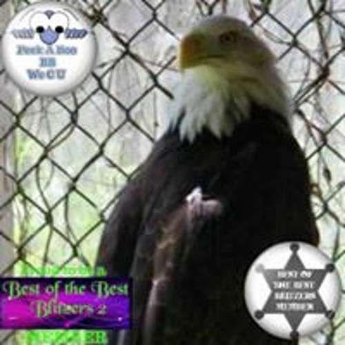 Stream Sandy Osterman Tooke music | Listen to songs, albums, playlists ...