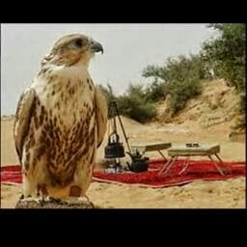 Stream Saad Al Saud music | Listen to songs, albums, playlists for free ...