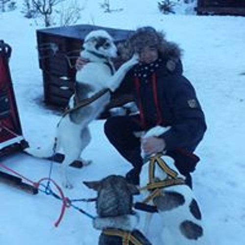 Stream Harry Yip music | Listen to songs, albums, playlists for free on ...