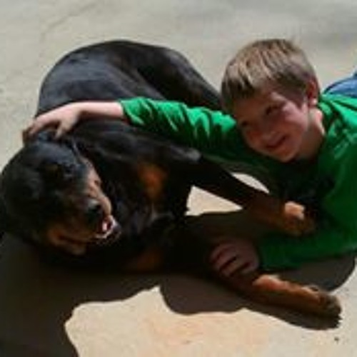 Stream Hunter Barrett music | Listen to songs, albums, playlists for ...