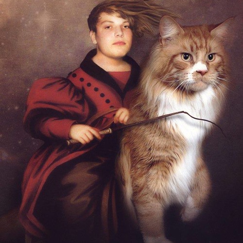 Stream Cat Tamer music | Listen to songs, albums, playlists for free on ...