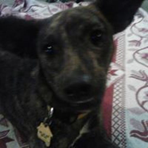 Stream Collin Andrews music | Listen to songs, albums, playlists for ...