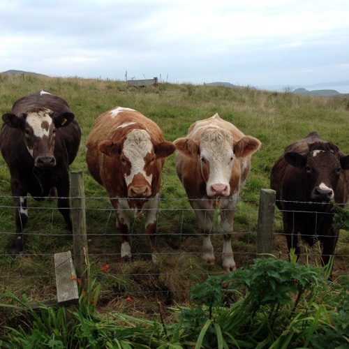 Stream Beam music | Listen to songs, albums, playlists for free on ...