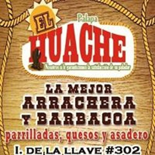 Stream El Huache Palapa music | Listen to songs, albums, playlists for ...